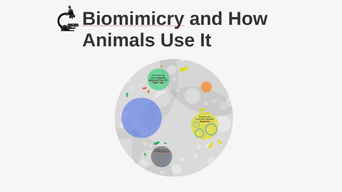 Biomimicry and How Animals Use it by Justine Krieger on Prezi
