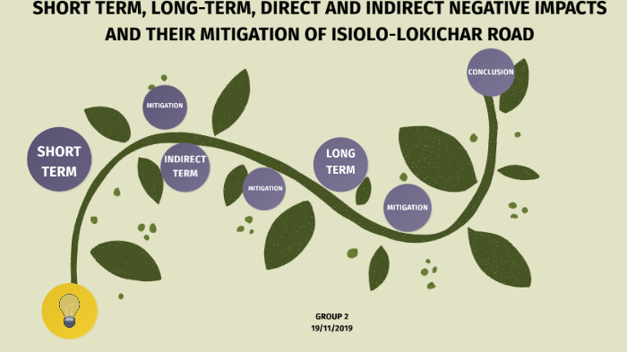SHORT TERM, LONG-TERM, DIRECT AND INDIRECT NEGATIVE IMPACTS AND THEIR ...