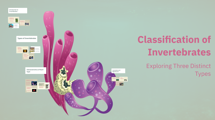 Classification of Invertebrates by Rachel Daub on Prezi