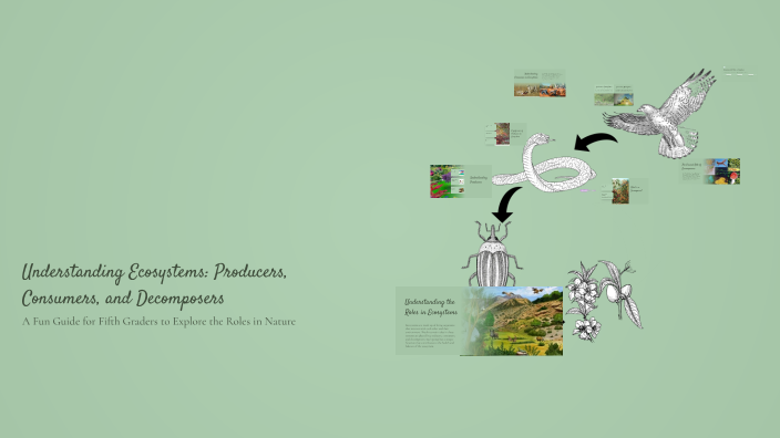 Understanding Ecosystems: Producers, Consumers, and Decomposers by Ivan ...