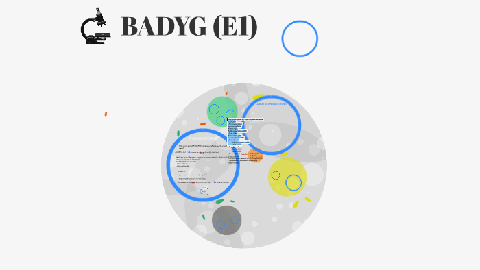 BADYG (E1) by Mery Ruiz on Prezi