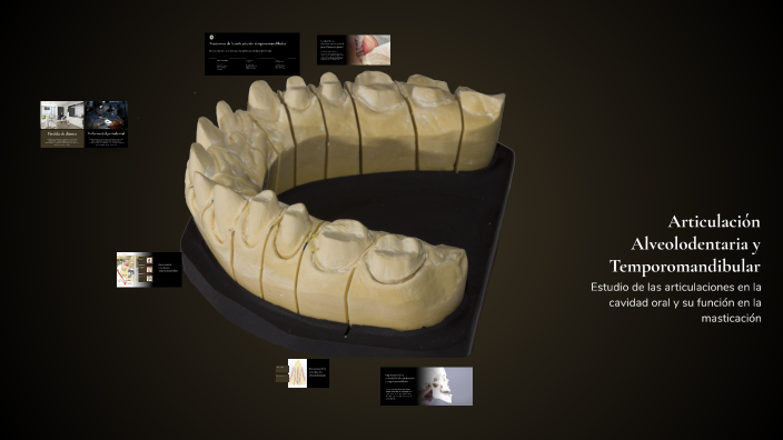 Articulación Alveolodentaria y Temporomandibular by Mauricio Loza ...
