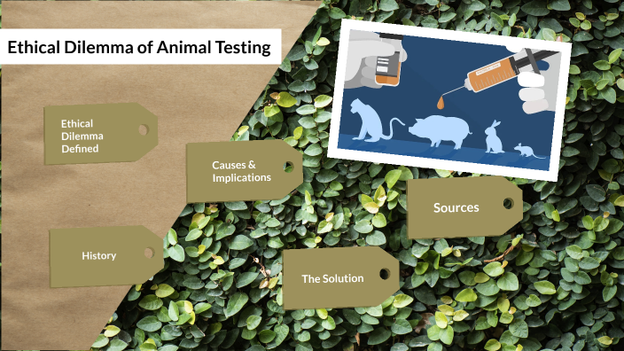 The Ethical Dilemma of Animal Testing by Mayra Barrios on Prezi