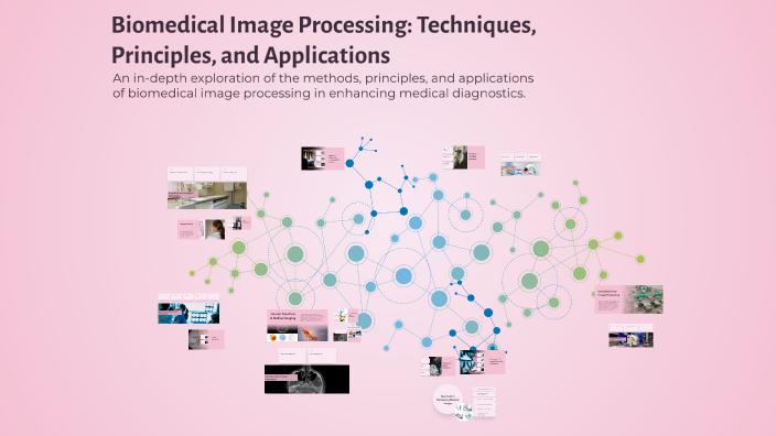 Biomedical Image Processing: Techniques, Principles, and Applications ...
