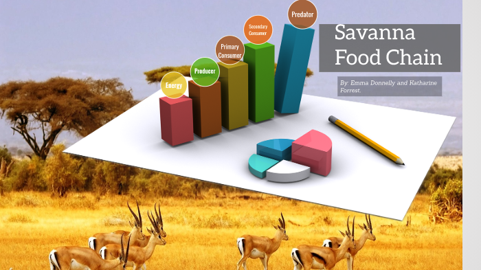 Savanna Food Chain E.K by Emma Donnelly on Prezi