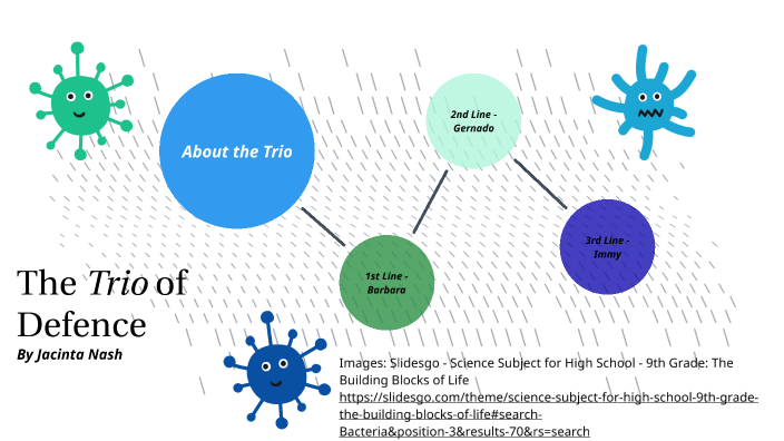 3 Lines of Defence by Jacinta Nash on Prezi