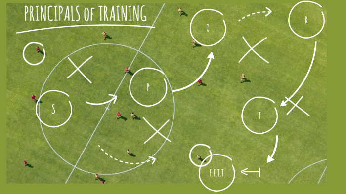Principles of Training by Chance Bunce on Prezi