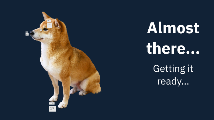 Understanding the Shih Tzu Dog by Ramy Wagdy on Prezi