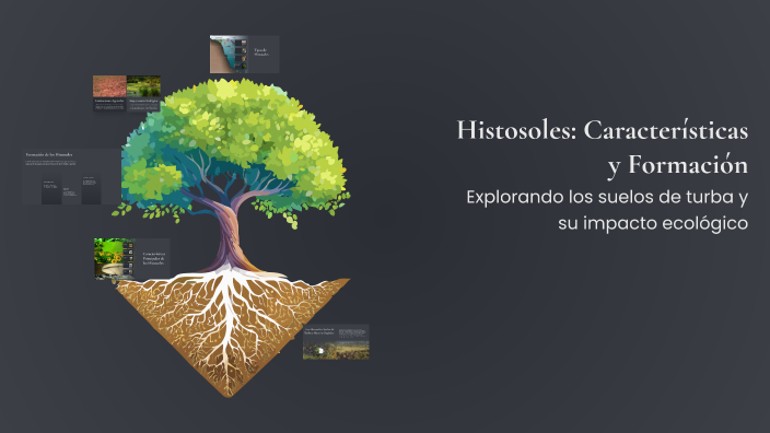 Histosoles: Características y Formación by Dulce Piña on Prezi