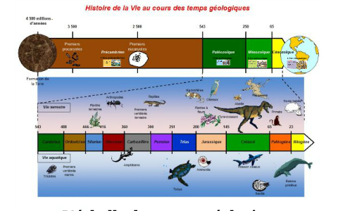 L'échelle des temps géologiques by Jean-Nicolas Rouleau on Prezi
