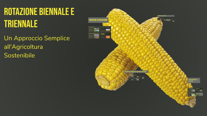 Rotazione Biennale e Triennale by jacopo russetti on Prezi
