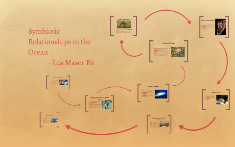 Symbiotic Relationships in the Ocean by Lea Maser on Prezi