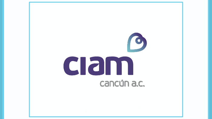 Organization chart by CIAM Cancún AC on Prezi