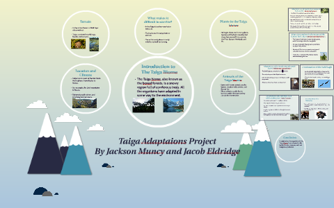 Taiga Biome Project by Jackson Muncy on Prezi