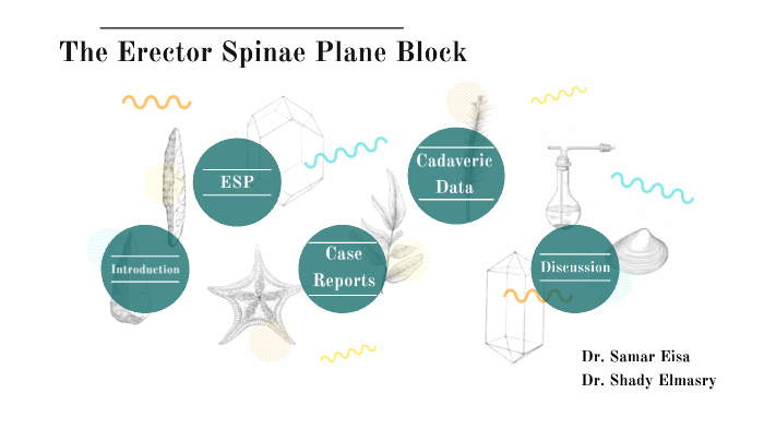 The Erector Spinae Plane Block: A Novel Analgesic Technique in Thoracic ...