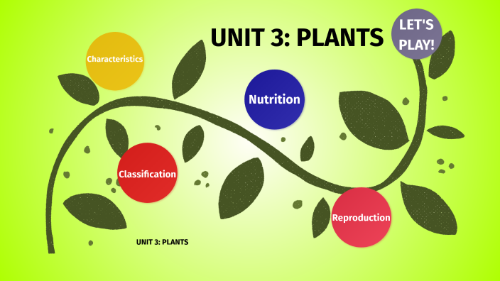 Unit 3 Plants By Clara Con Limon On Prezi