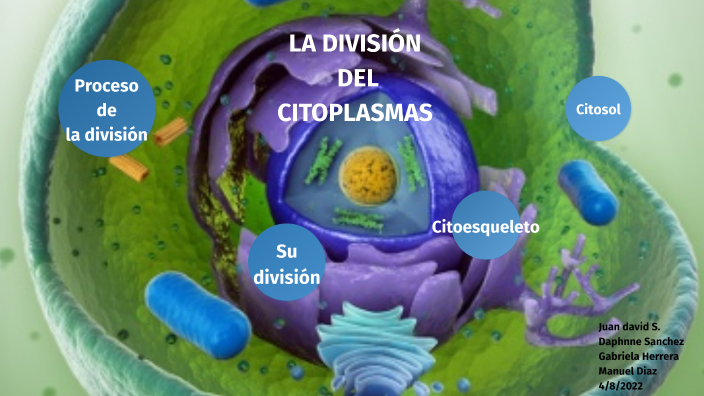 Las divisiones del cito plasmas by Daphnne Sanchez Suira on Prezi