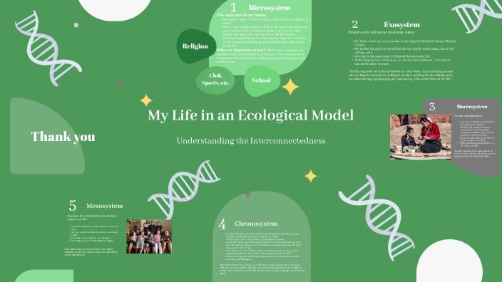 My Life in an Ecological Model by Naomi Smart on Prezi