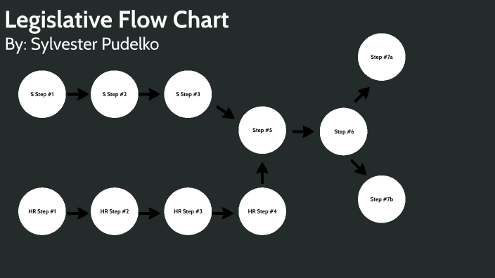 Legislative Flow Chart by Sylvester Pudelko on Prezi