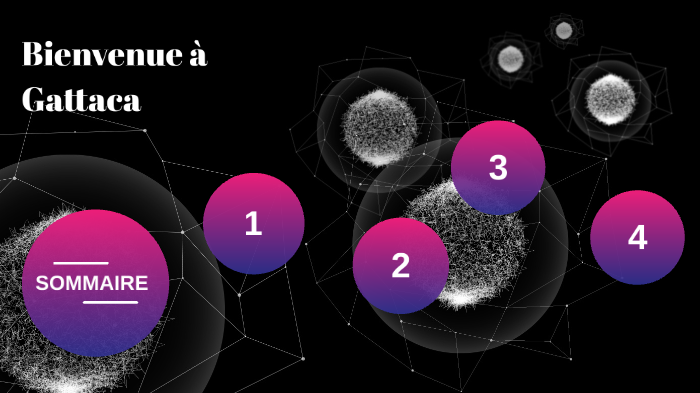 Bienvenue à Gattaca by léna moll on Prezi