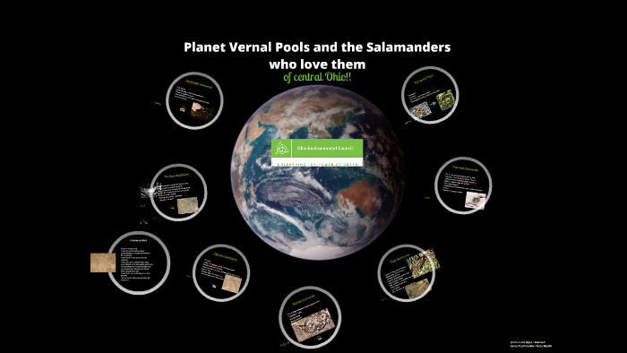 Planet Vernal Pools and the Salamanders who love them by David R ...