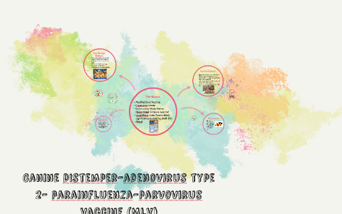 D2APP MLV canarypox vector by Lauren Fuhrman on Prezi