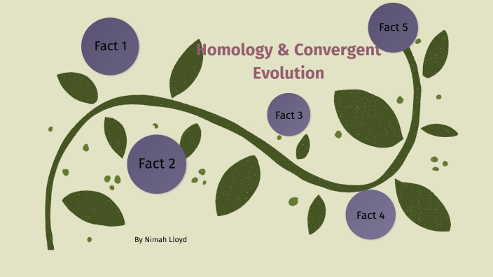 Homology & Convergent Evolution by nimah-lloyd 14328 on Prezi