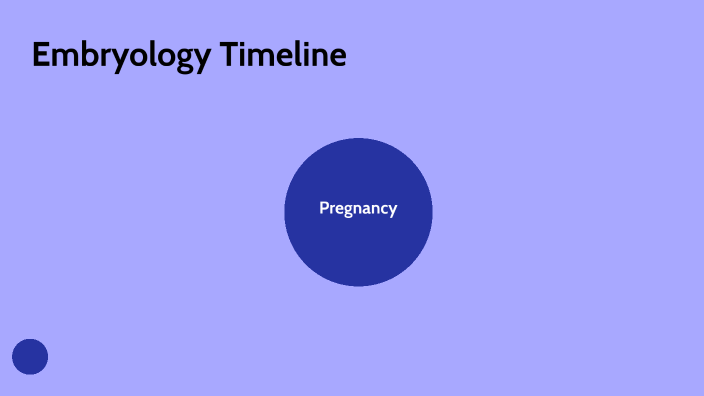 Embryology Timeline by Reese King on Prezi