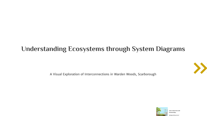 Understanding Ecosystems through System Diagrams by Sabaqun Nahar ...