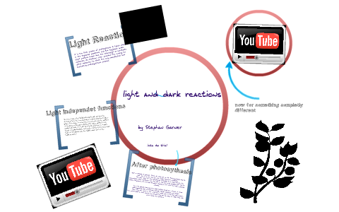 Light and dark rxn sequence by Stephan Garner on Prezi