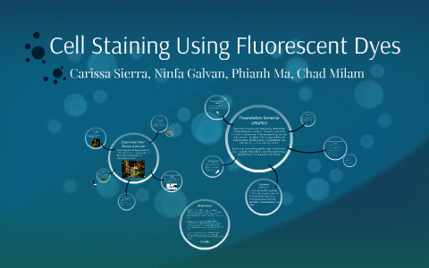 Cell Staining Using Fluorescent Dyes by Chad Milam on Prezi