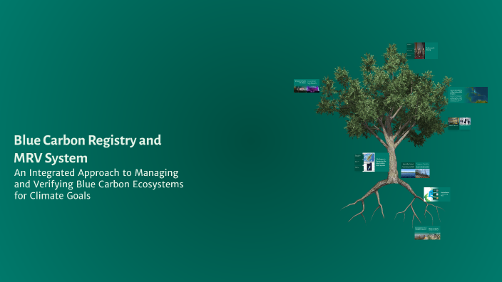 Blue Carbon Registry and MRV System by The Chosen One on Prezi