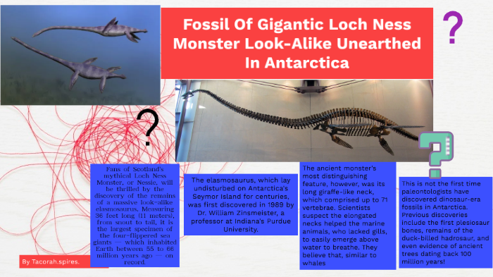 Fossil Of Gigantic Loch Ness Monster Look-Alike Unearthed In Antarctica ...