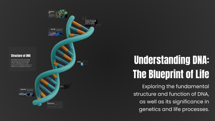 Understanding DNA: The Blueprint of Life by Olivia Hjordt Andreasen on ...