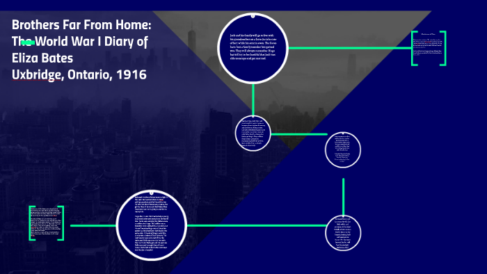 Brothers Far From Home: The World War I Diary of Eliza Bates by Jess ...