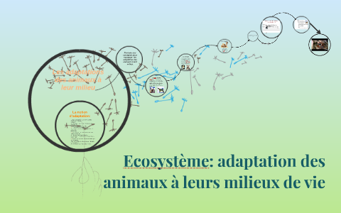 Les adaptations des animaux à leur milieu by hamdi khawla on Prezi