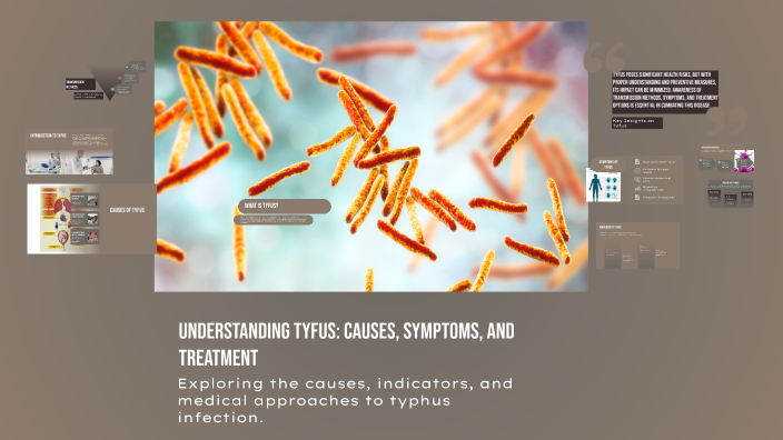 Understanding Tyfus: Causes, Symptoms, and Treatment by Pomfrit Nitten ...