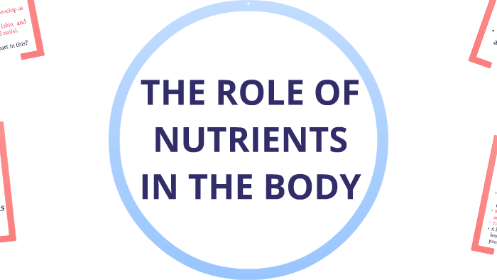 Function of Food in the Body by Christine Lavery on Prezi
