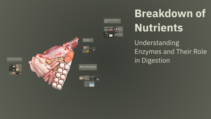 Breakdown of Nutrients by Simone Miller on Prezi
