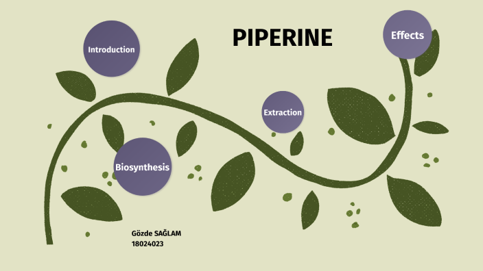 BIOSYNTHESİS AND EXTRACTION OF PIPERINE by Gozde Saglam on Prezi
