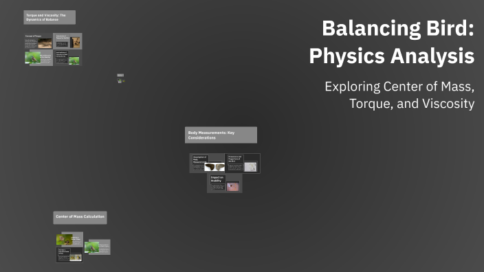 Balancing Bird: Physics and Measurements by Rishabh Kumar Patel on Prezi