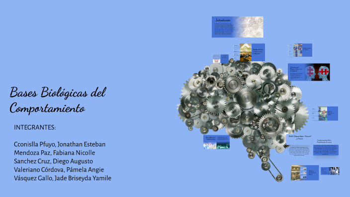 Bases Biológicas del Comportamiento by Jade Vasquez on Prezi