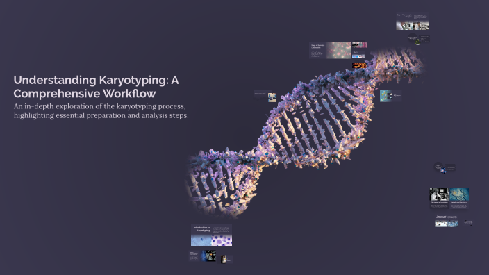 Understanding Karyotyping: A Comprehensive Workflow by Dr Jagadisha ...
