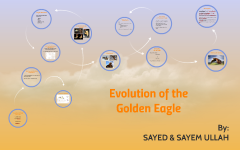 Evolution of the Golden Eagle by Sayed Ullah on Prezi