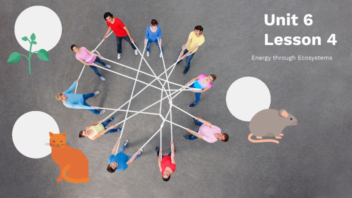 Unit 6 Lesson 4: Energy through Ecosystems by Heidi Oechsel on Prezi