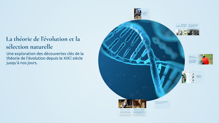 La théorie de l'évolution et la sélection naturelle by Romane SECULA on ...