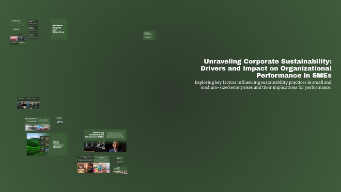 Unraveling Corporate Sustainability: Drivers and Impact on ...