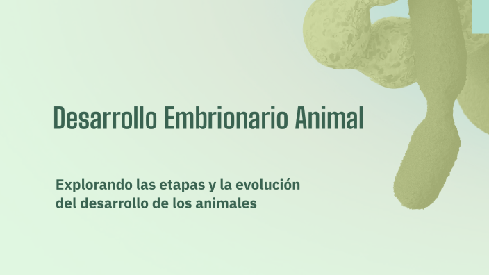 Desarrollo Embrionario Animal by Crisbeth Salazar on Prezi