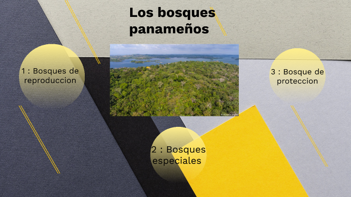 bosque panameños by kevin wu pan on Prezi