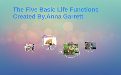 The Five Basic Life Functions by REBECCA BAGGETT on Prezi